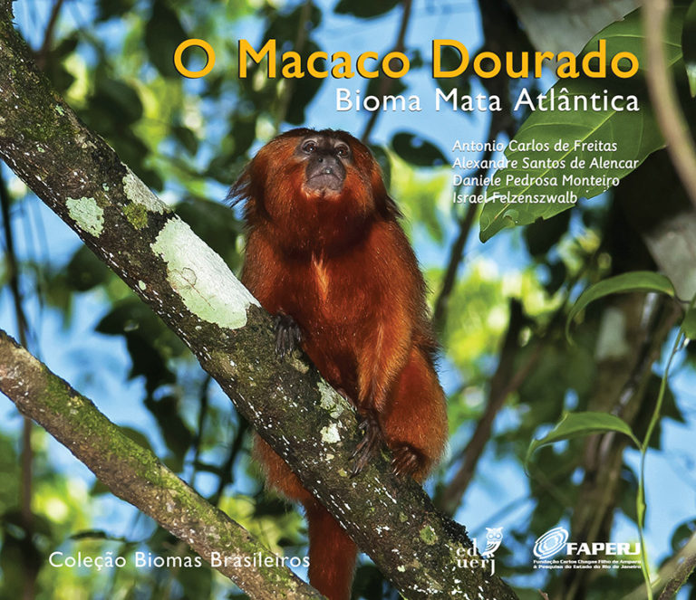 O Macaco Dourado: bioma Mata Atlântica | EdUERJ - Editora da ...