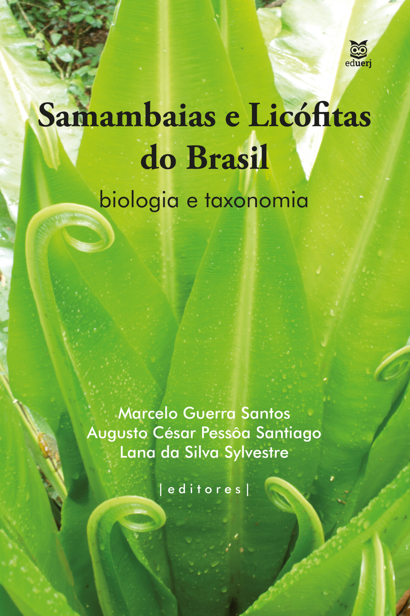 Samambaias e licófitas do Brasil: biologia e taxonomia | EdUERJ - Editora da Universidade do ...